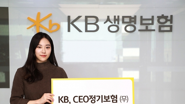 [머니Tips] KB생명보험, 'KB, CEO 정기보험' 출시