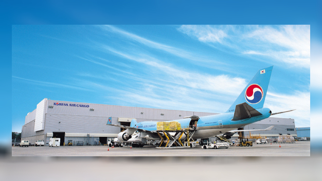 대형항공사 vs LCC 1Q 실적 희비…항공업계, 실적 '양극화' 지속